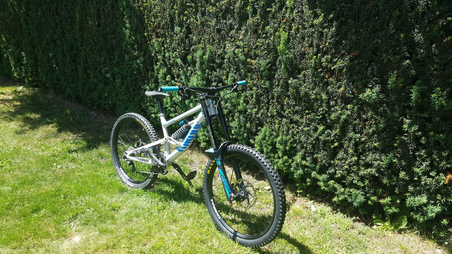 Canyon Torque DHX Rockzone 2015 - Bike Gallery | Traildevils