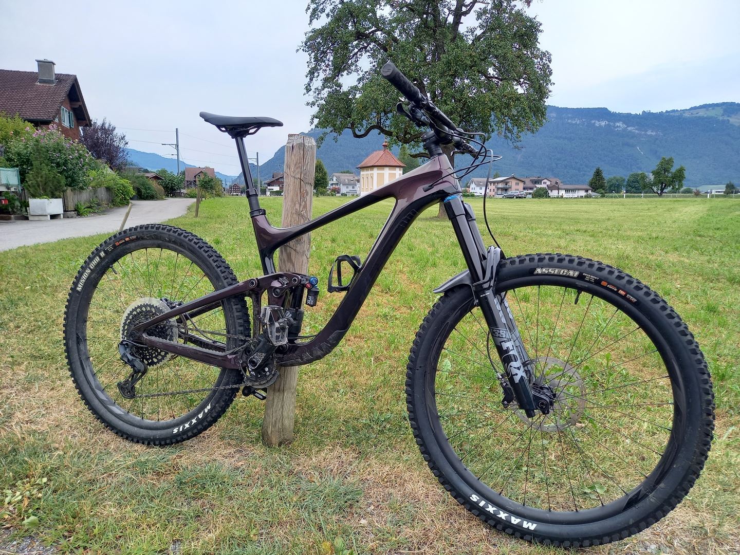 Giant Reign advanced pro 1 2021 für 3290 CHF in Altdorf günstig kaufen ...
