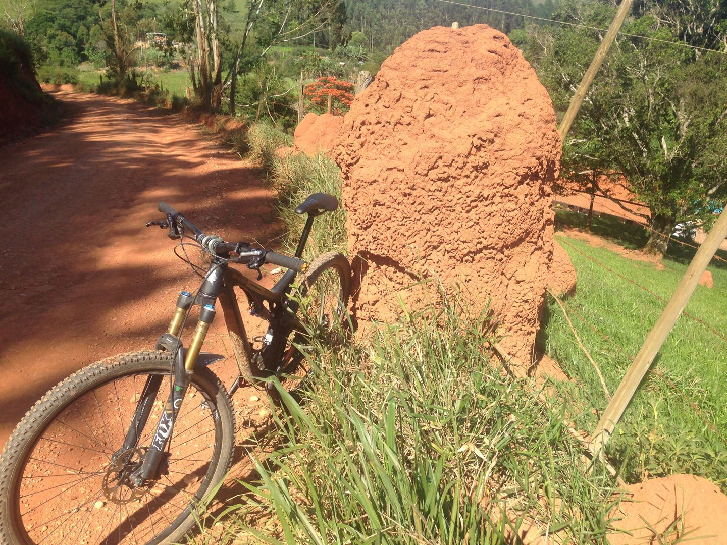 Intense Spider Comp 29 2013 - Bike Gallery | Traildevils