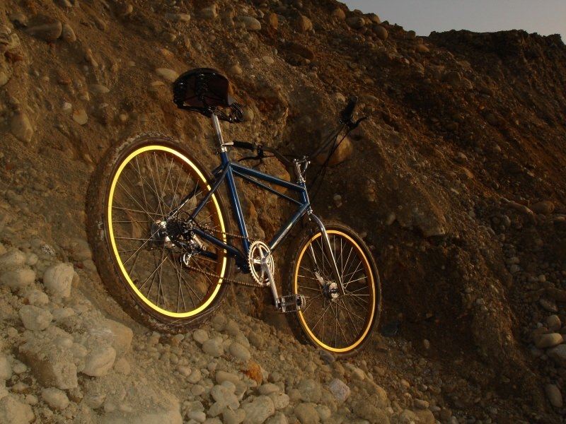Lawwill Pro Cruiser - Bike Gallery | Traildevils
