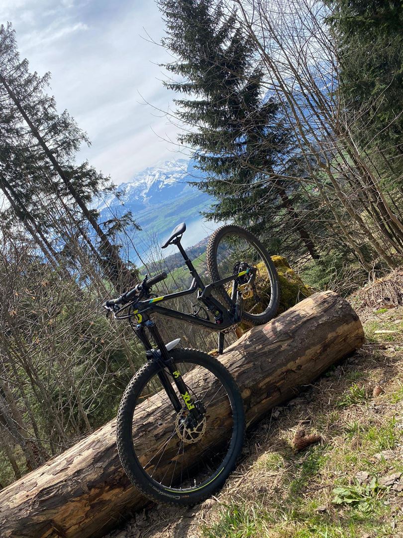 Scott Genius Genius 950 2019 - Bike Gallery | Traildevils