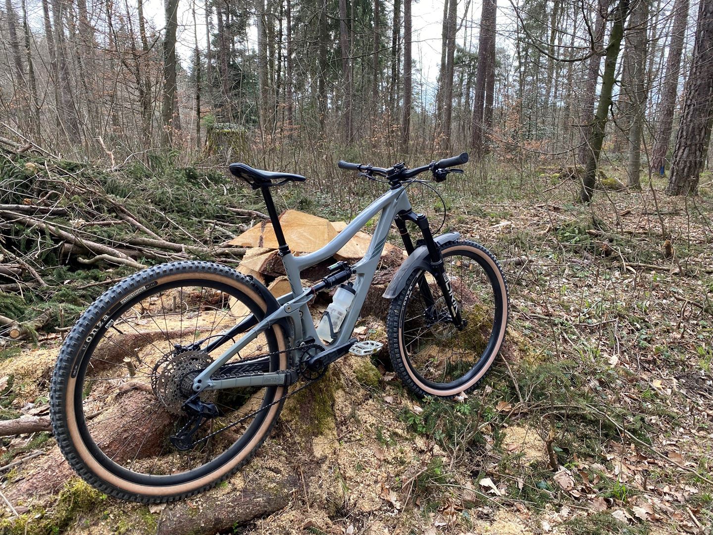 Ibis Ripmo V2 Carbon 2020 - Bike Gallery | Traildevils