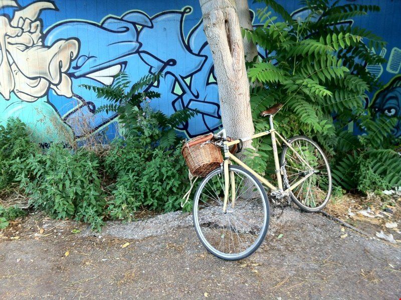 OLMO sintex 'NEO' - Bike Gallery | Traildevils