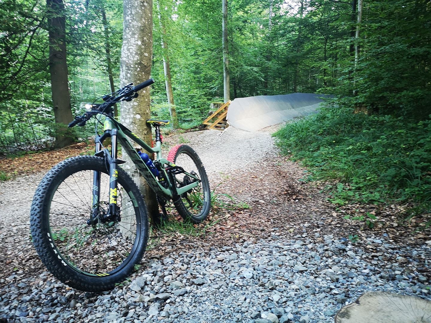 SCOTT Genius 710 2018 - Bike Gallery | Traildevils