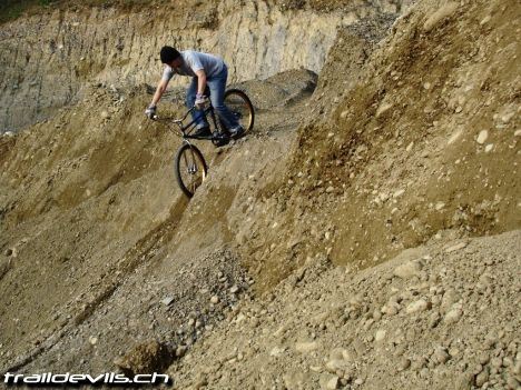 Lawwill Pro Cruiser - Bike Gallery | Traildevils