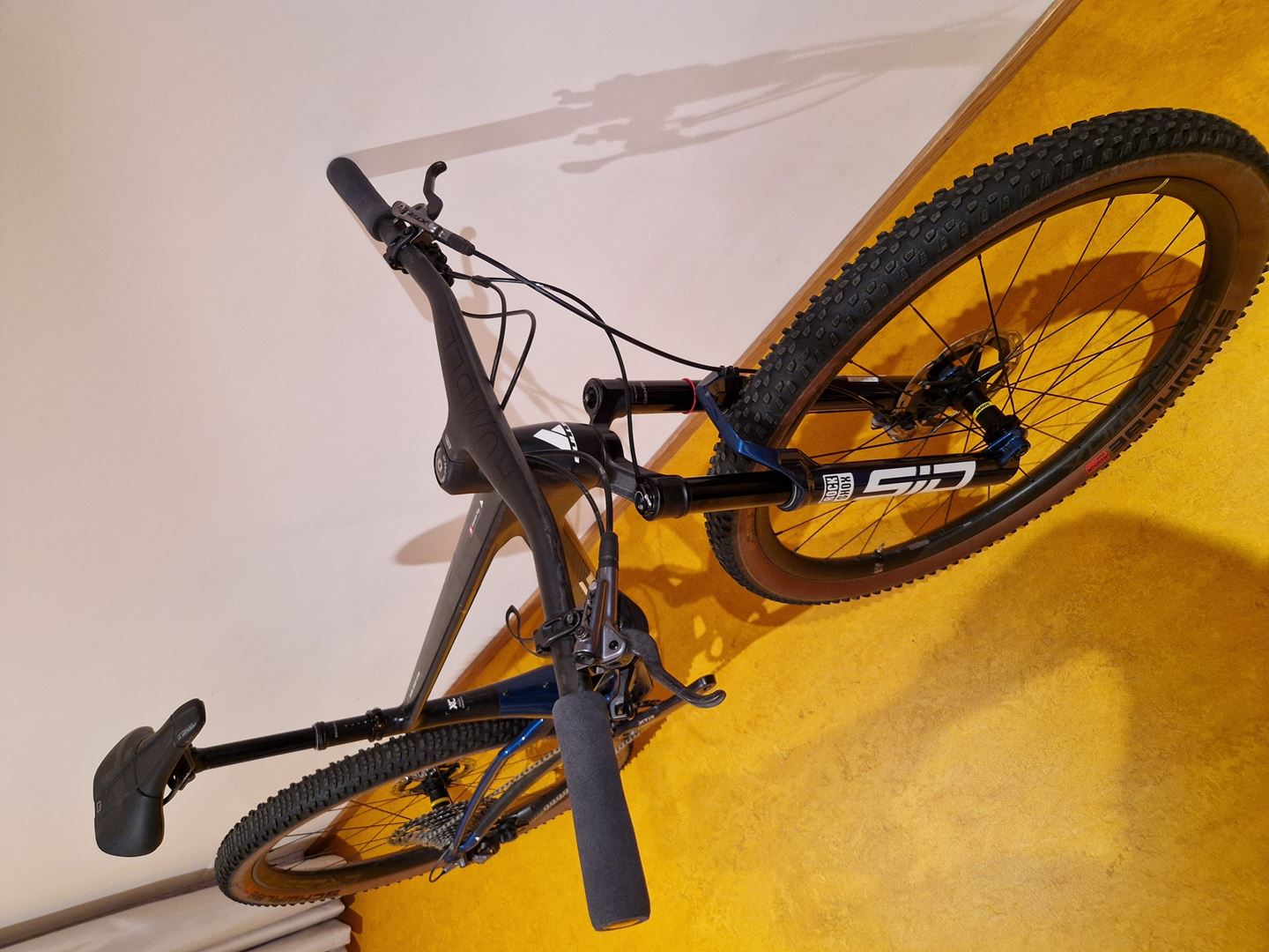 Bulls Wild Edge Team 2025 - Bike Gallery | Traildevils