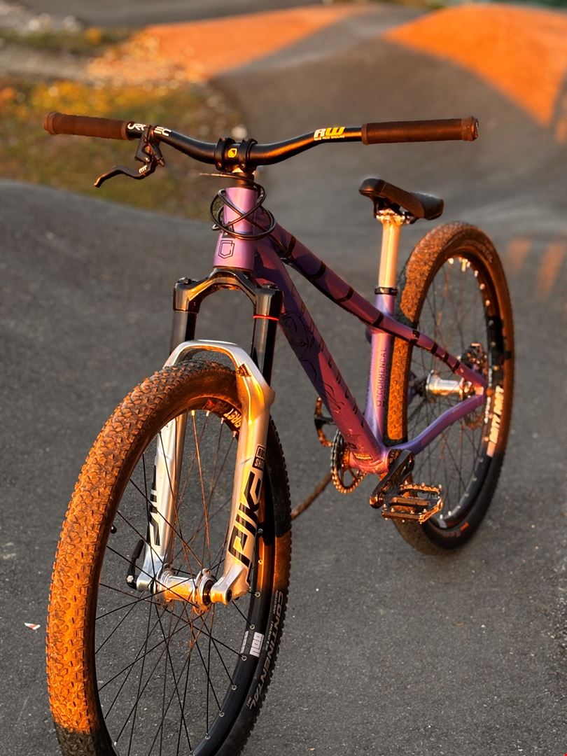 COMMENCAL Absolut Dirtbike - Bike Gallery | Traildevils