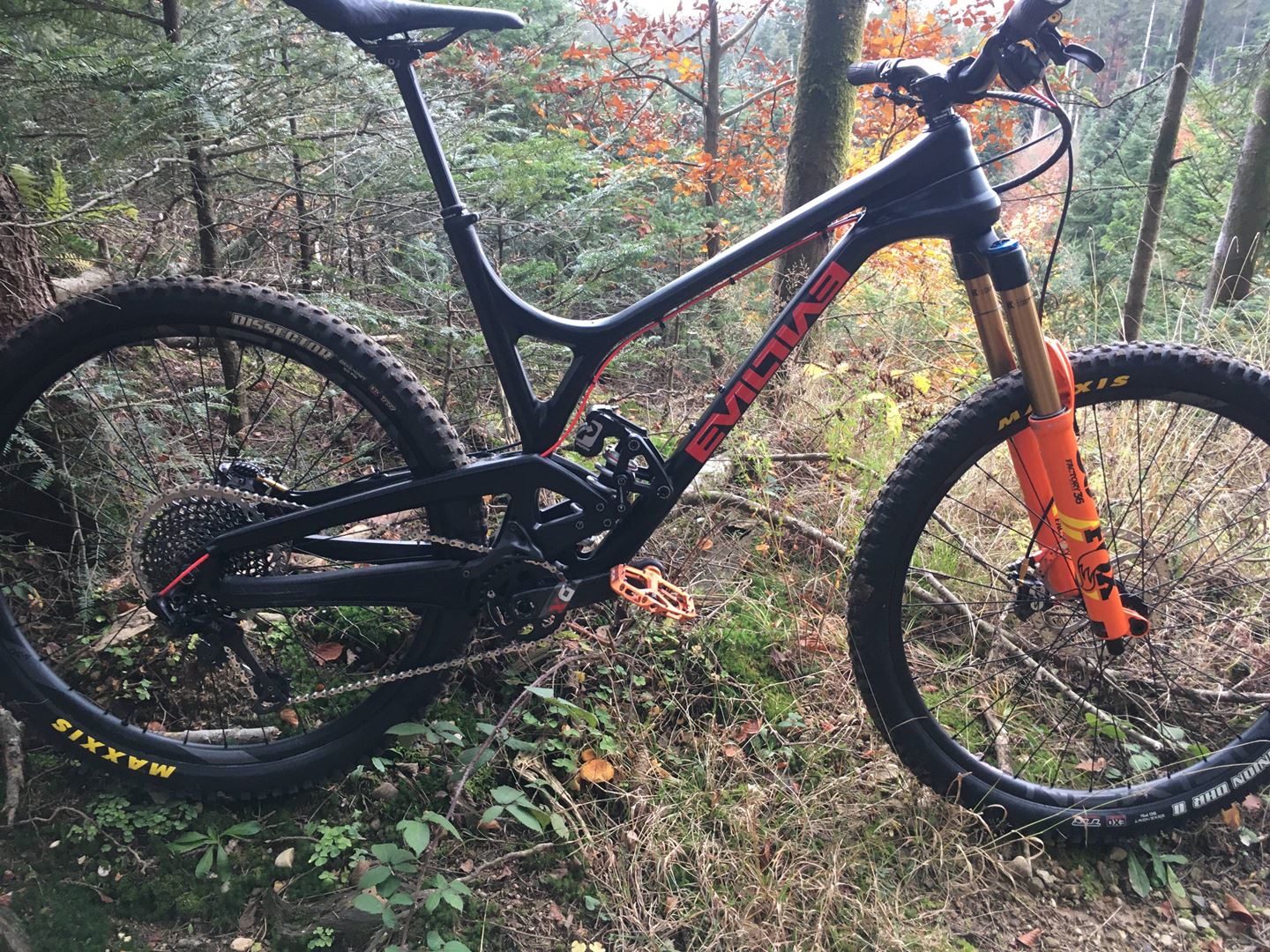Evil the Offering Custom - Bike Gallery | Traildevils