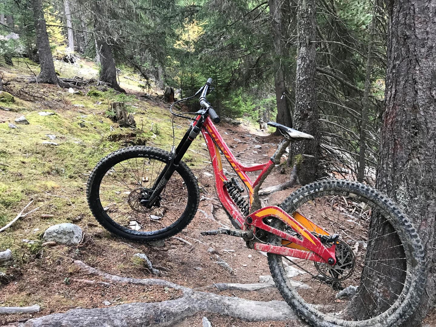 DEVINCI WILSON 2015 - Bike Gallery | Traildevils