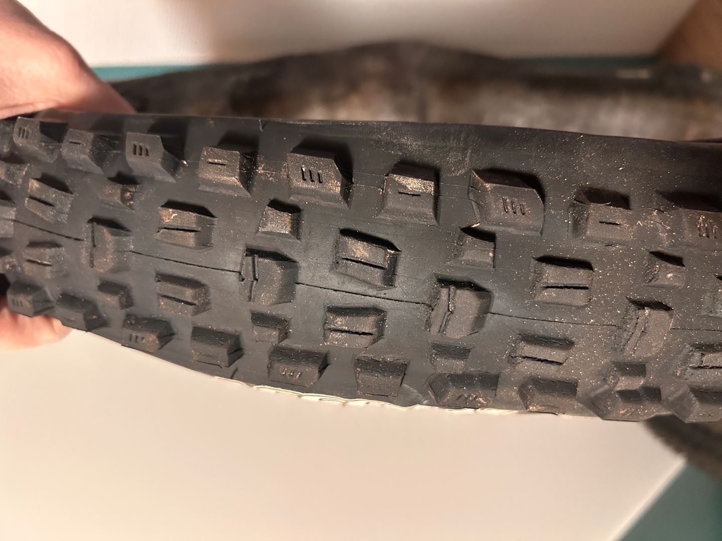 Maxxis Selten! Weisser Schriftzug! Maxxis Assegai 29x2.60 3C maxxterra ...