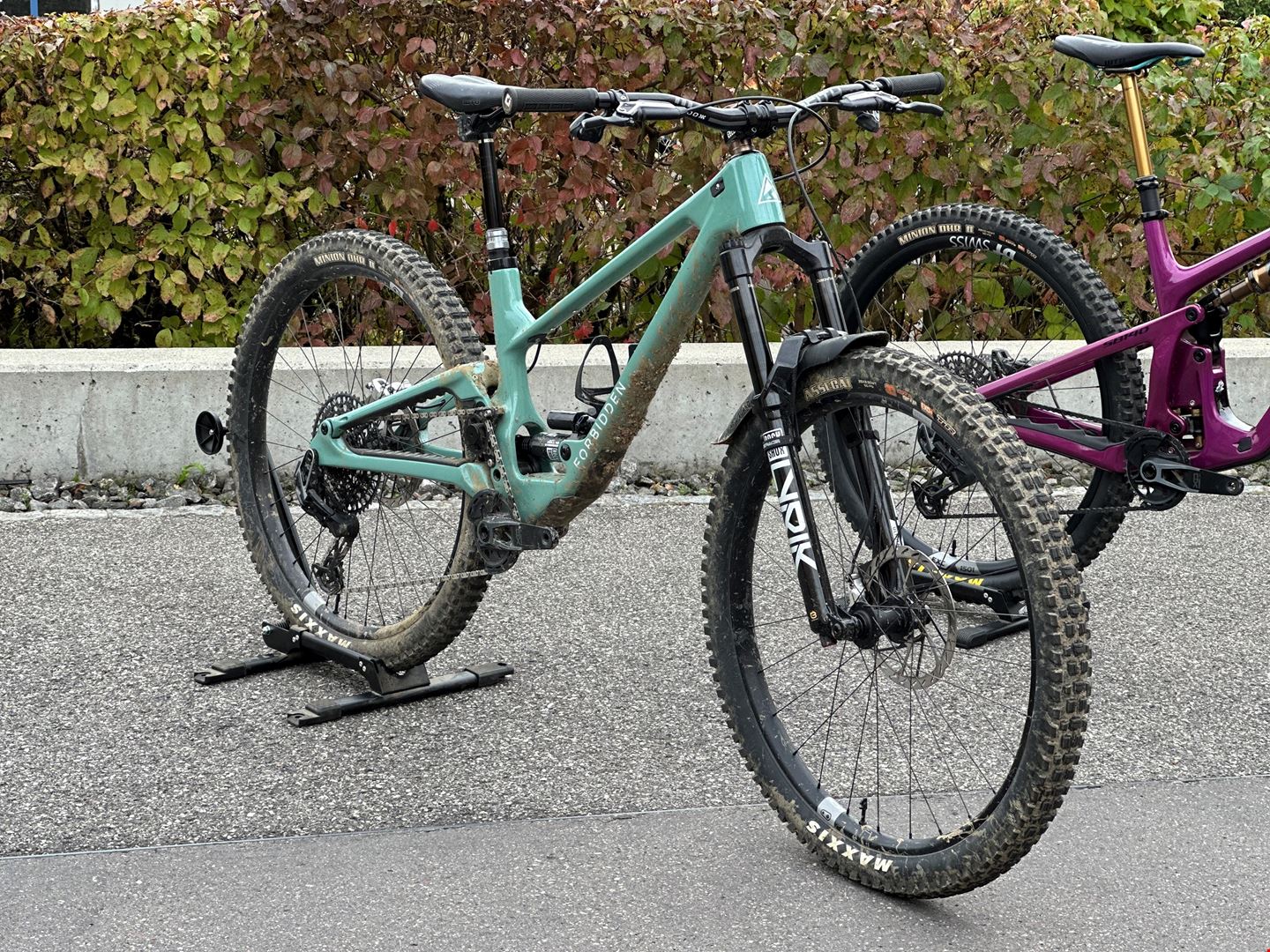 Forbidden Druid V2, S2 (Medium), 29", Custom-Aufbau für 4990 CHF in ...