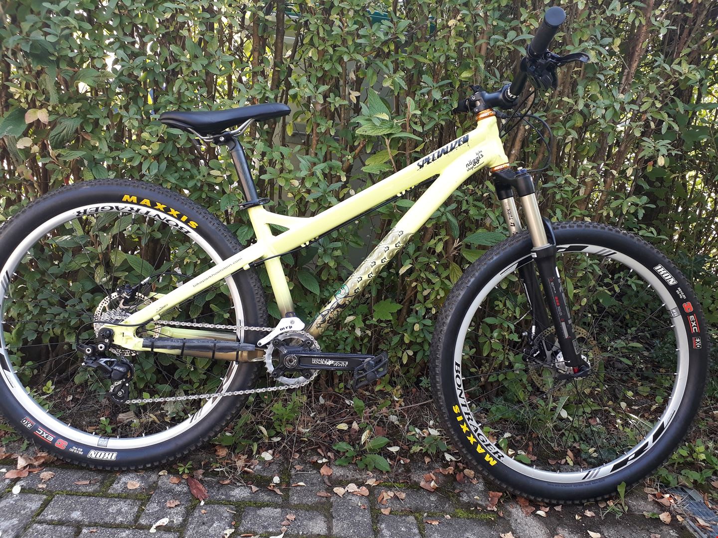Specialized P3 - Bike Gallery | Traildevils