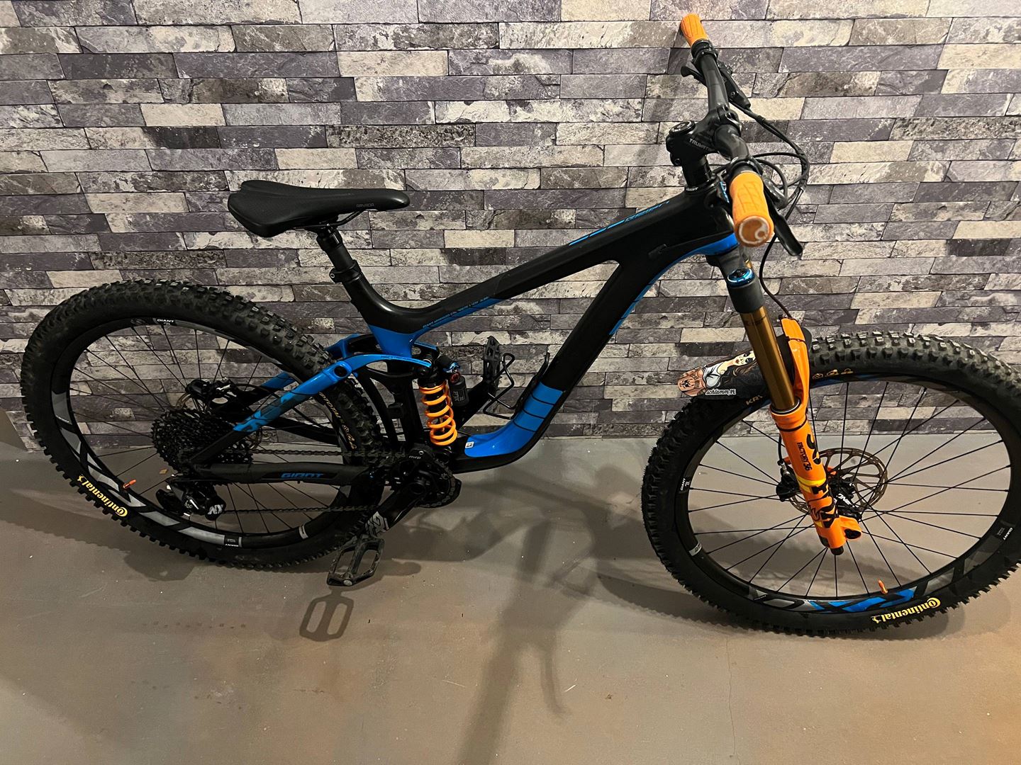 Giant reign Carbon - Bike Gallery | Traildevils